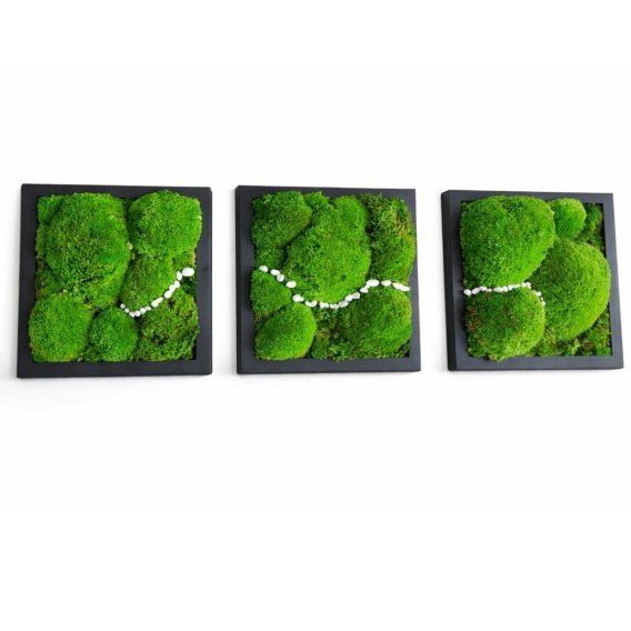 Tryptyk z mchu poduszkowego w ramach 27x27 cm > Fragment Natury